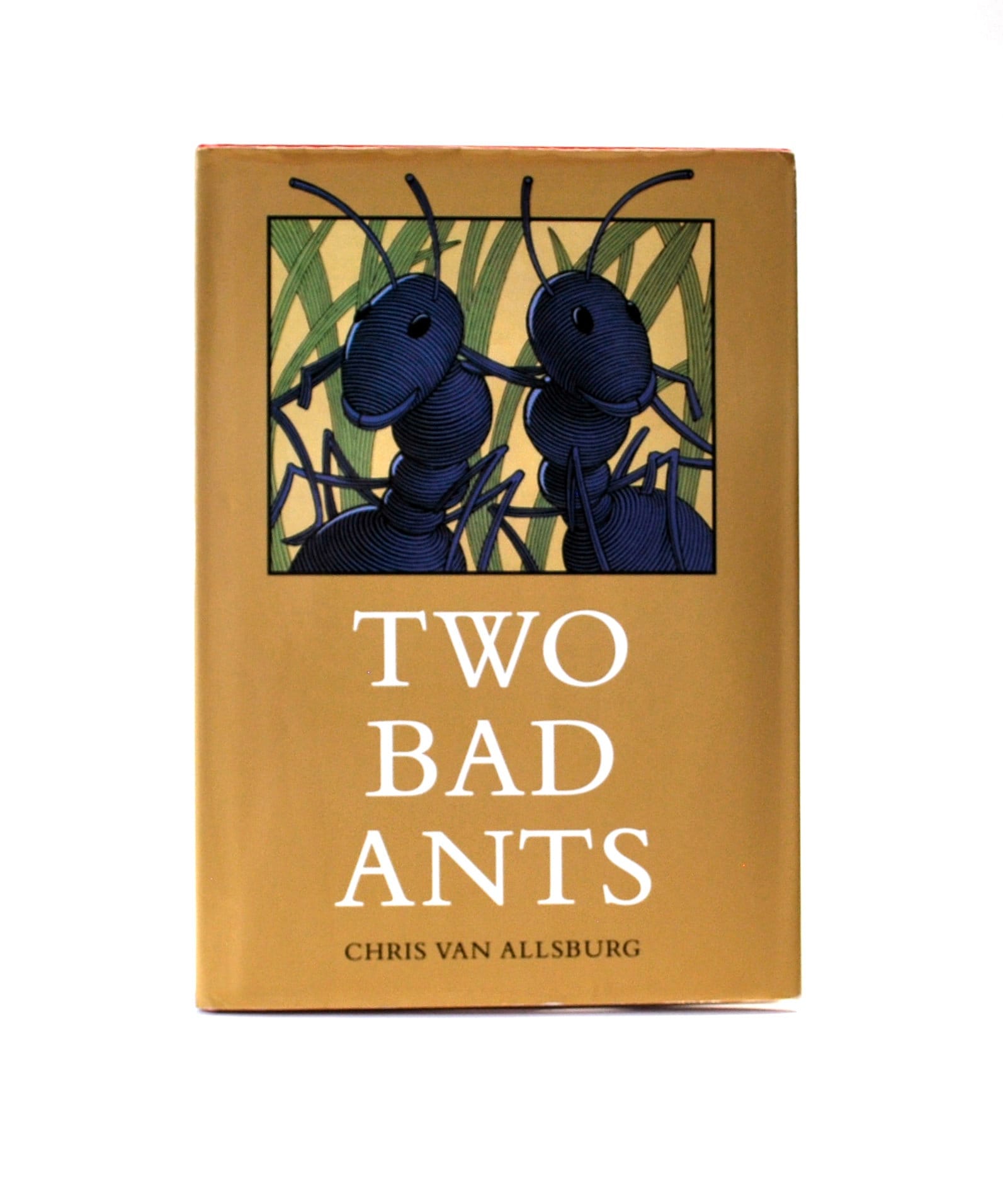 Chris Van Allsburg Two Bad Ants