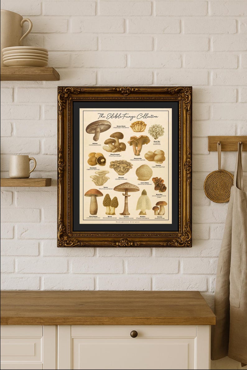 Edible Mushroom Poster: Vintage Botanical Fungi Identification Chart - Etsy