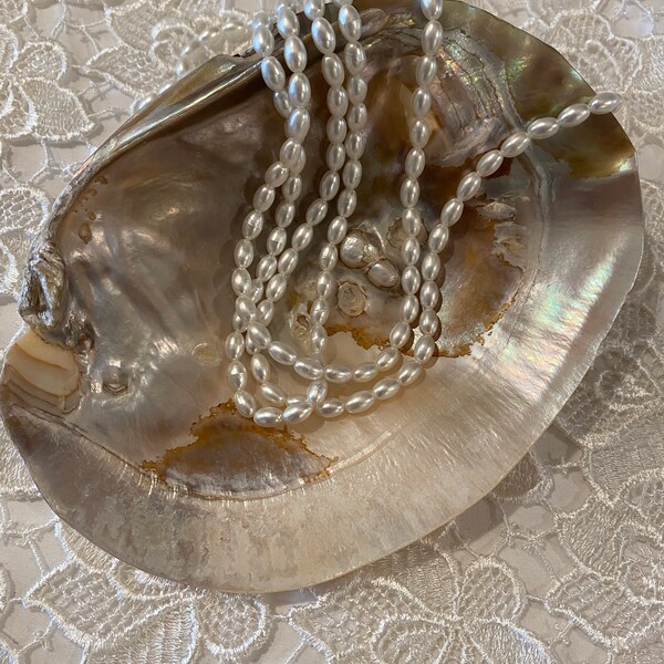 Shell Soap Dish - Etsy