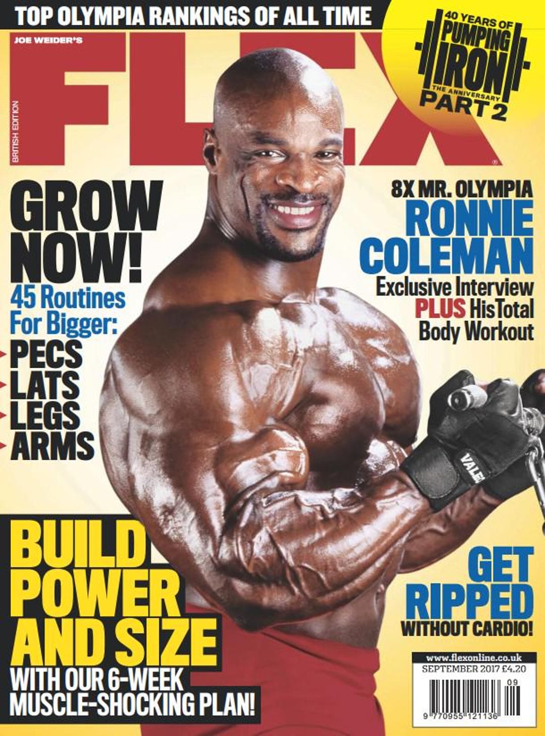 Flex Magazine Upgraded Bundle | 83 Digital Magazines PDF | Bodybuilding ...
