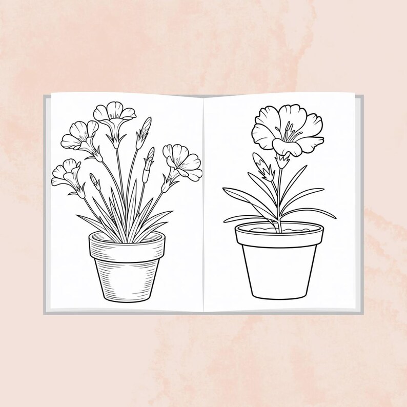 Elegant Clarkia Flower Coloring Pages Adults and Kids Coloring Book ...