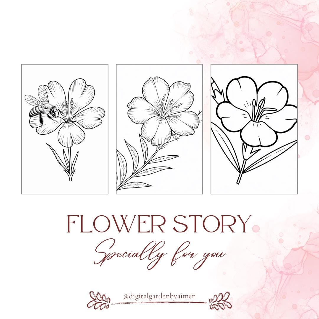 Elegant Clarkia Flower Coloring Pages Adults and Kids Coloring Book ...