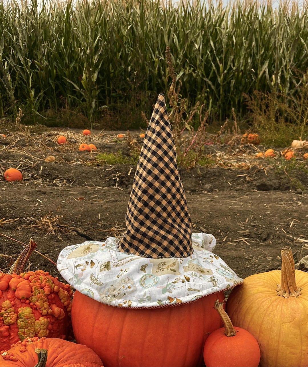 Thorn and Thistle Quilted Witch Hat - Etsy
