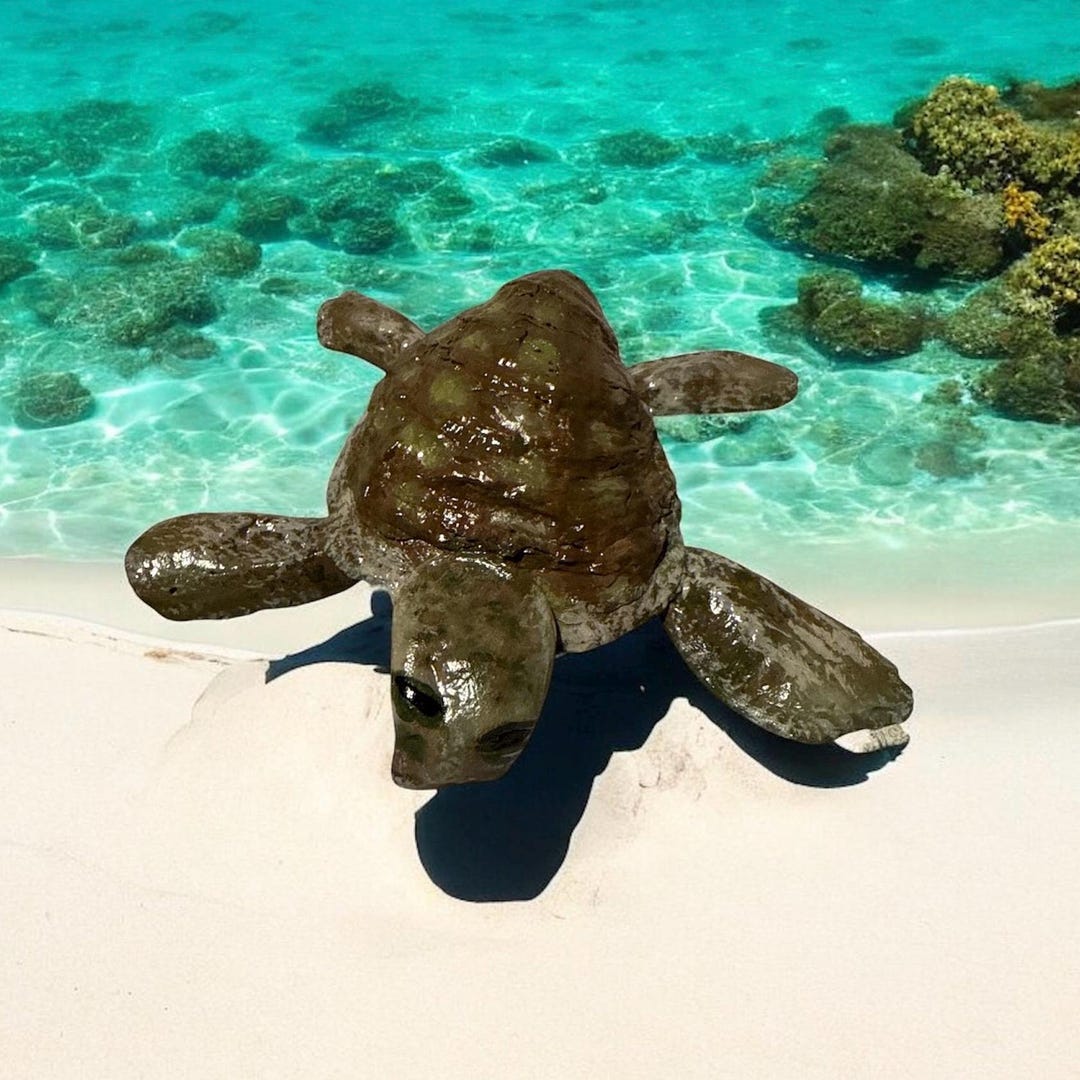 Oyster Shell Sea Turtle - Etsy