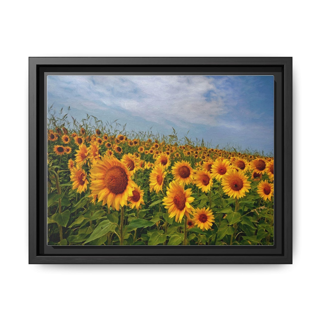 Sunflower Field Canvas Print, Summer Landscape Framed Art - Etsy UK