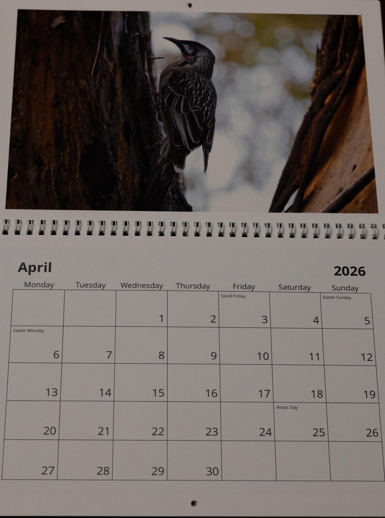 Australian Wildlife Calendar 2026 | Xmas Gift Idea | Nature Photography ...