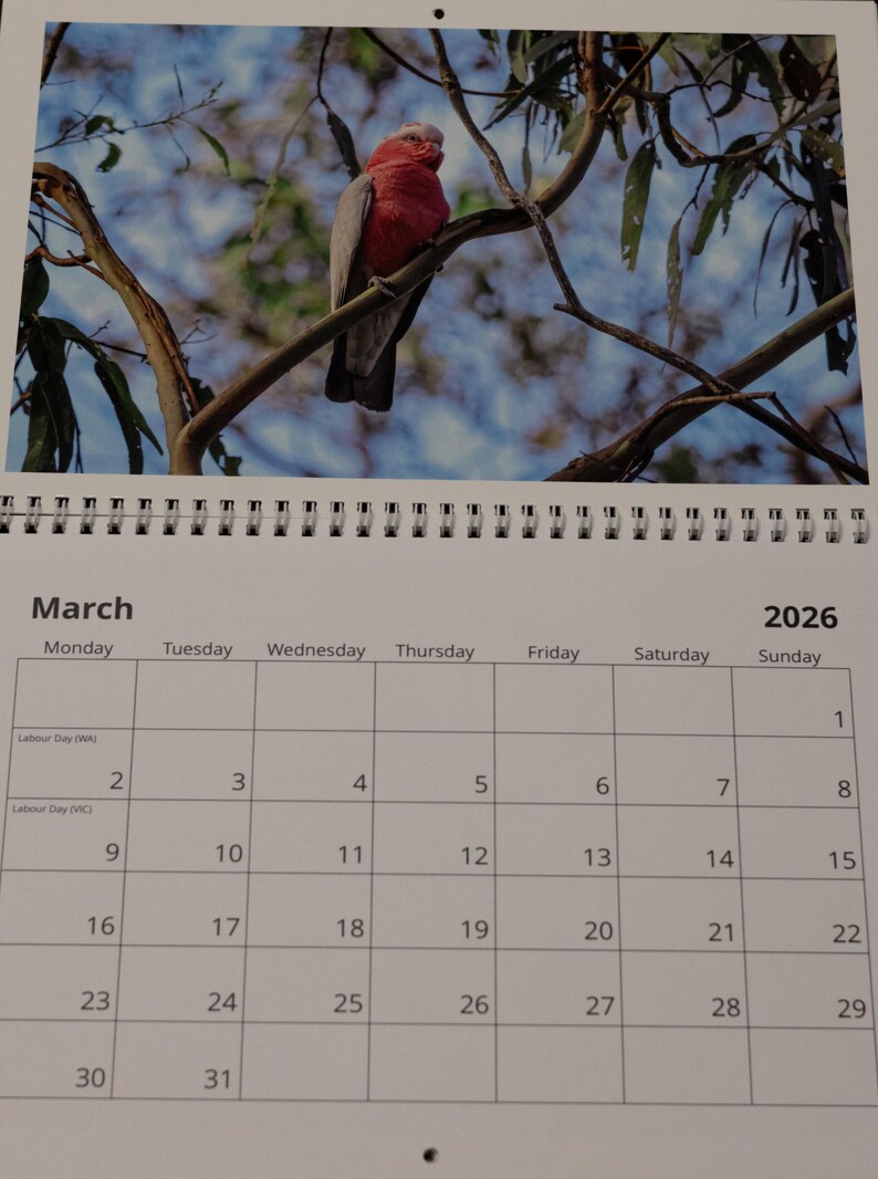 Australian Wildlife Calendar 2026 | Xmas Gift Idea | Nature Photography ...