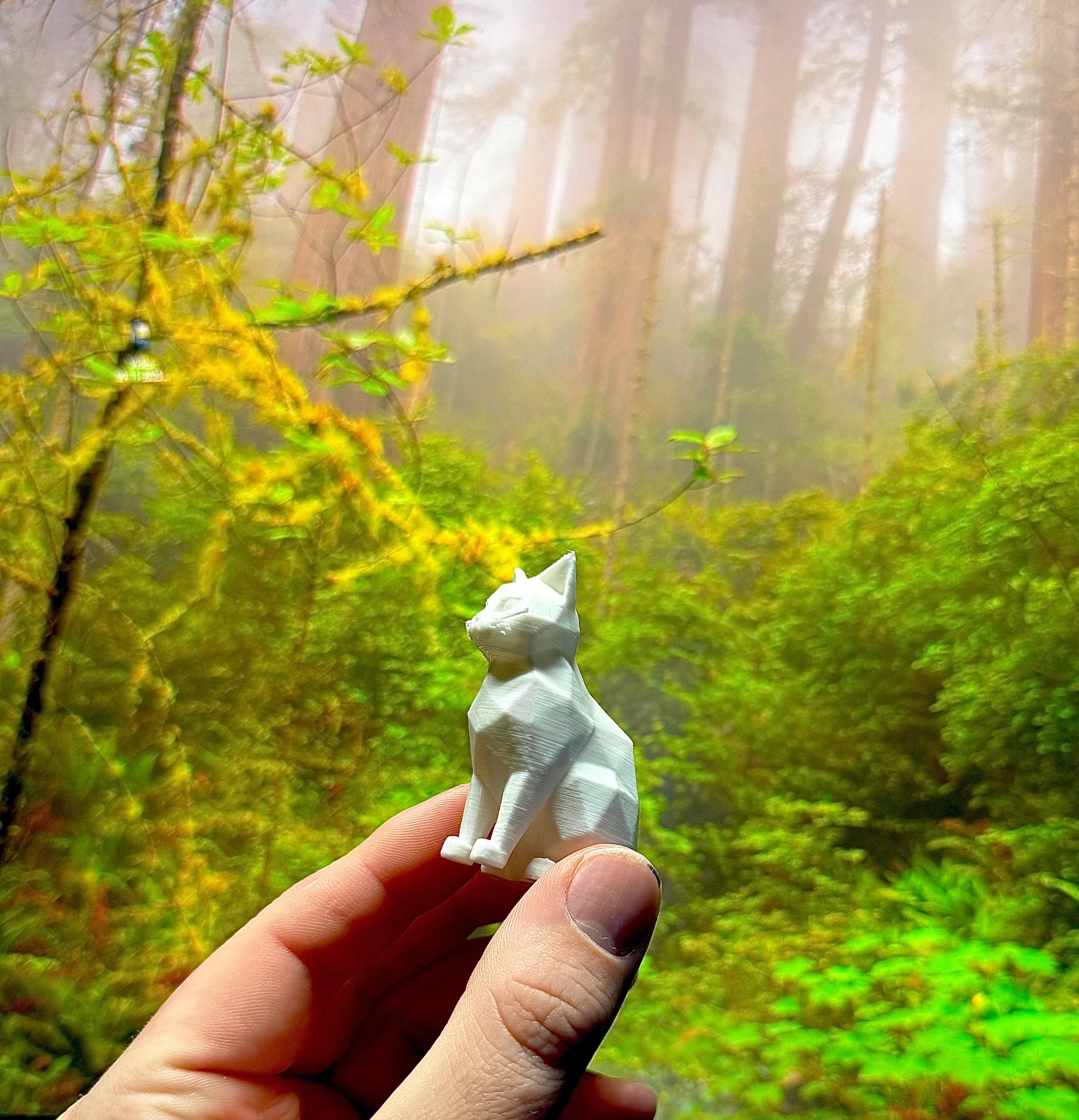 Low Poly Cat Model | 3D Print File | Digital Download - Etsy