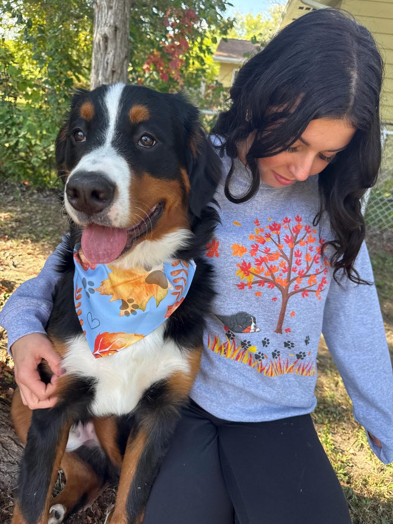 Autumn Leaves Dog Bandana & Collar Set | Fall Dog Accessory | Bernese ...