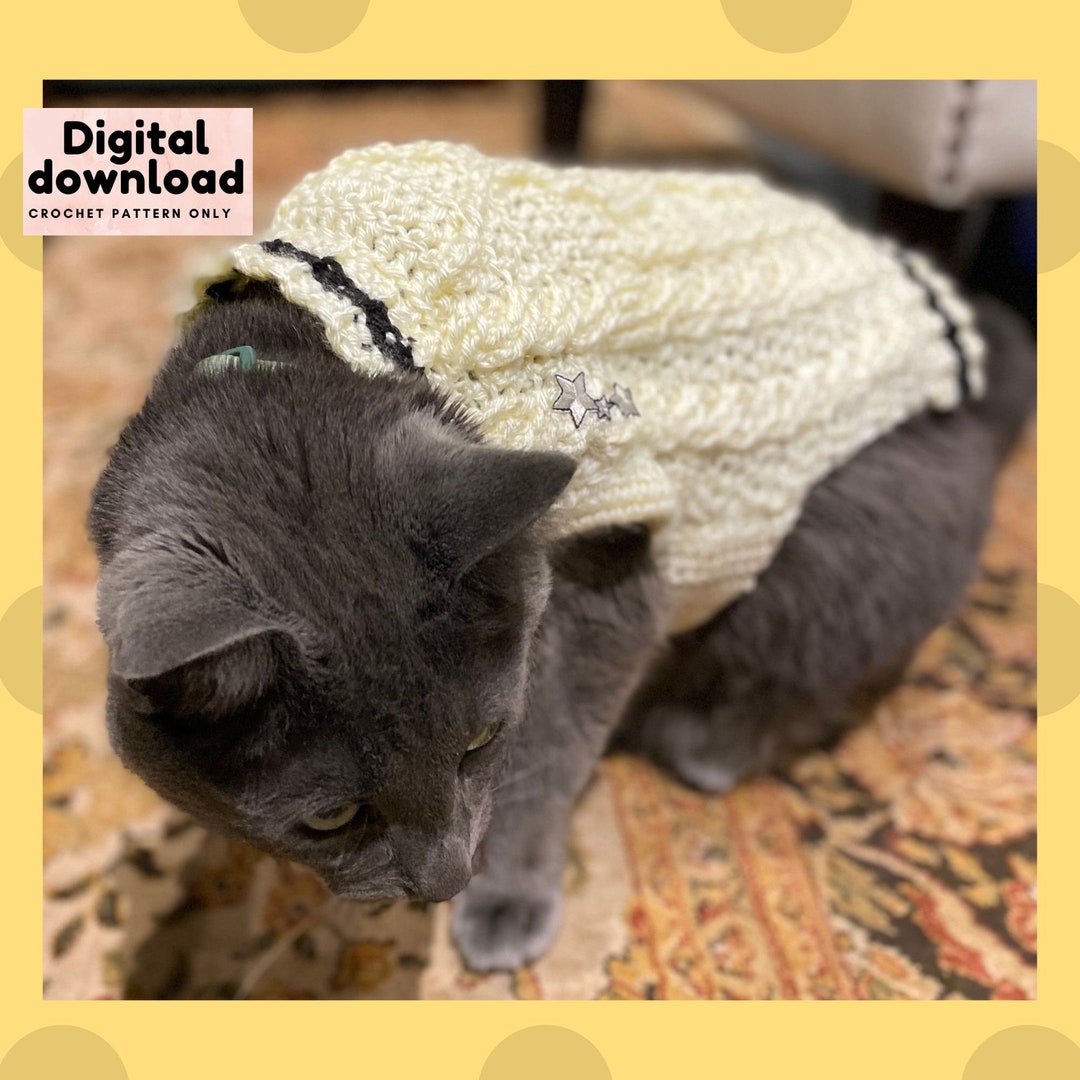 Taylor Swift Cat Cardigan Crochet Pattern, DIY Cat Lover Gift, Instant ...