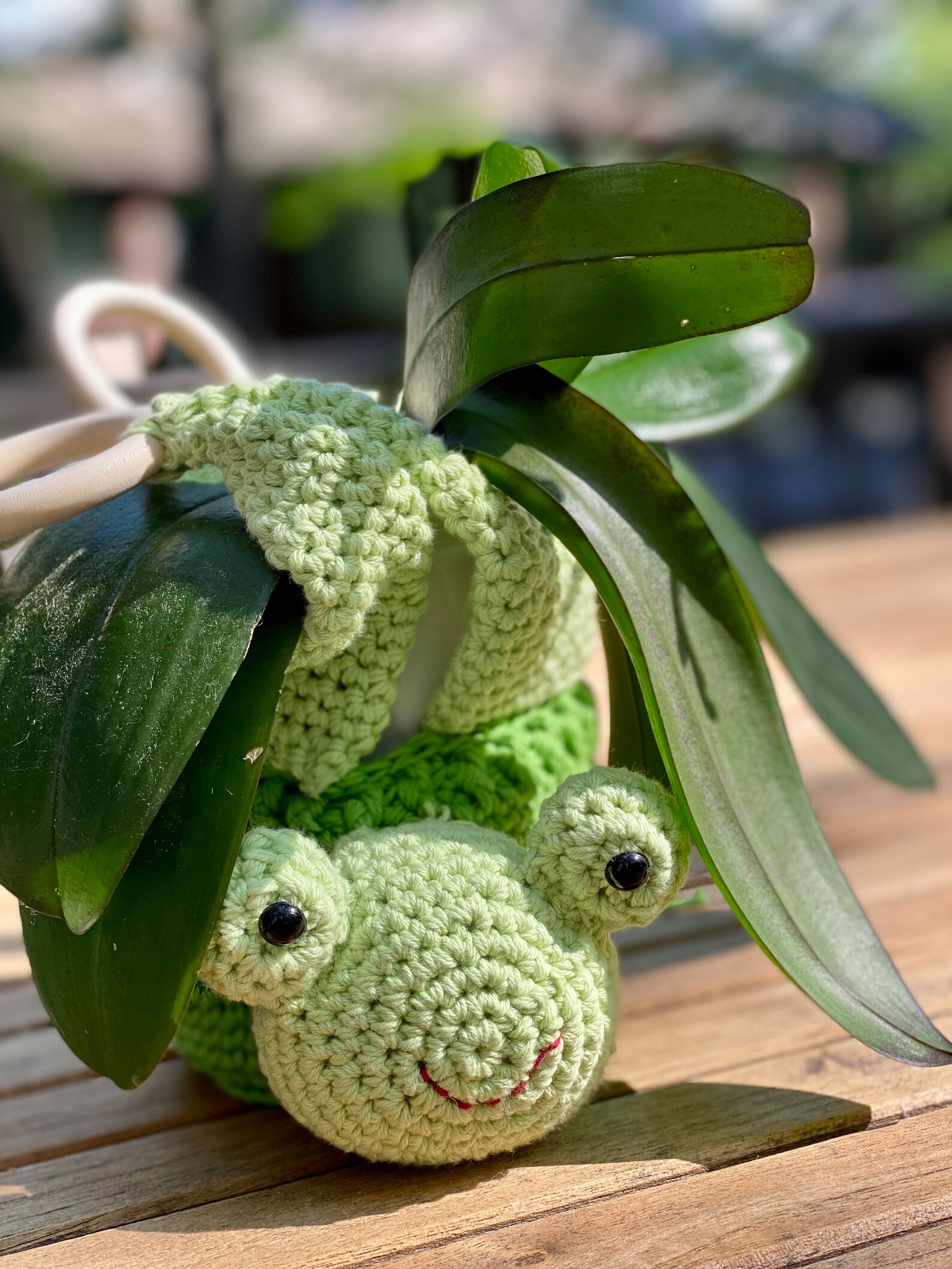 Adorable Cute Frog Froggy Plant Holder Crochet Pattern - Etsy