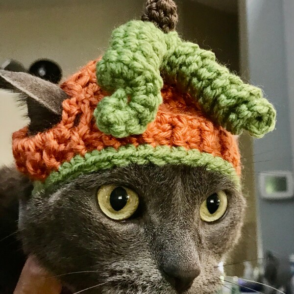 Pet Photo Prop - Etsy