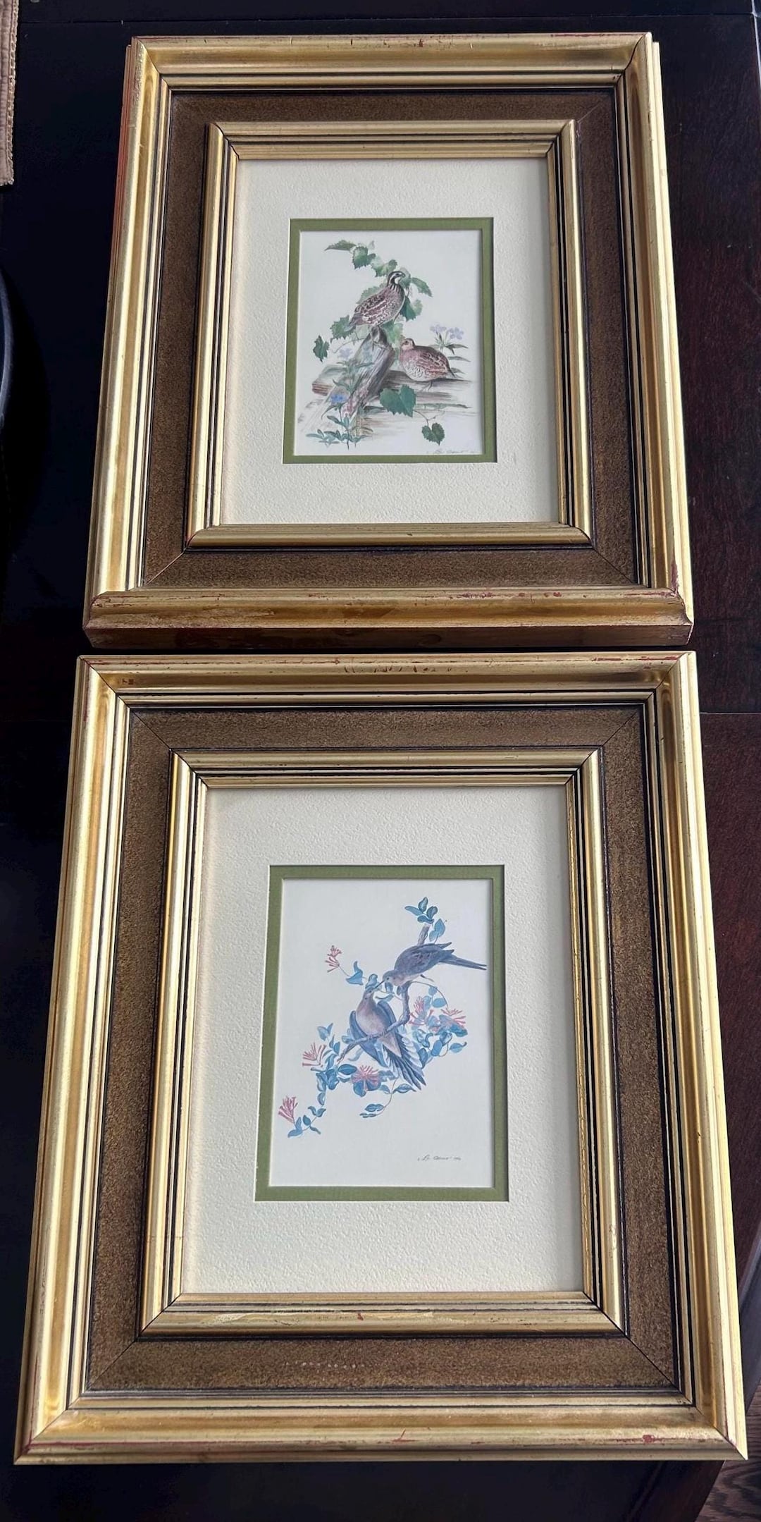 Lee Adam’s Double Mat 4x6 Quail and Dove Framed Prints - Pair - Etsy
