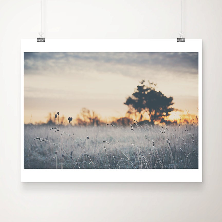 Winter Photograph, Frost Print, Sunrise Photograph, Tree Print, Silver ...