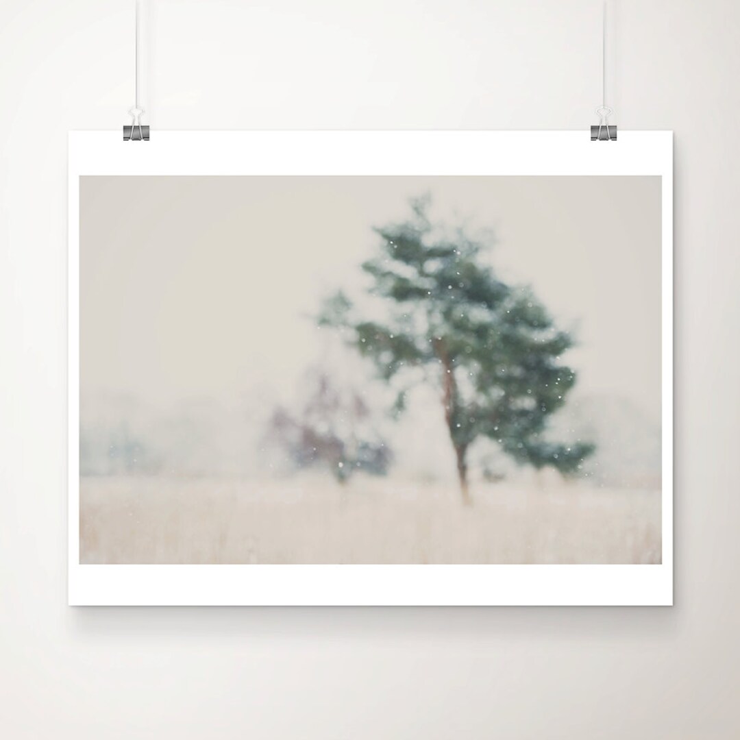 Falling Snow Tree Print, Winter Nature Photography, Large Wall Art - Etsy