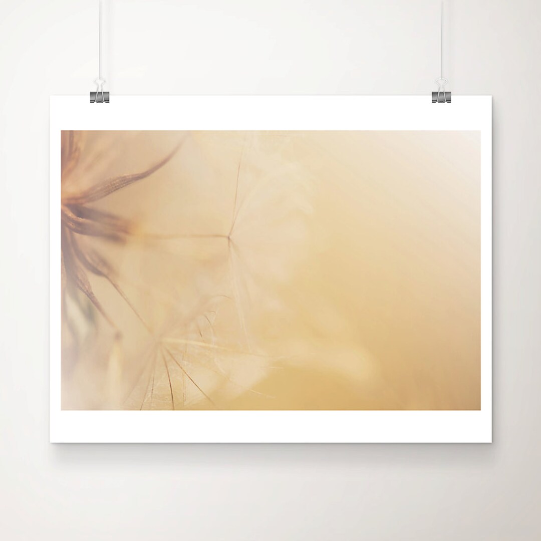 Dandelion Photograph, Gold Home Decor, Flower Photograph, Floral Decor ...
