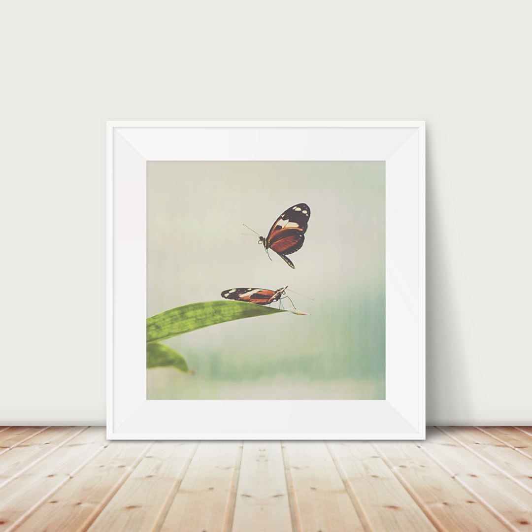 Flying Butterfly Photograph, Insect Print, Animal Wall Art, Pair of ...