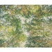 Green Leaf Canopy Photograph, Woodland Rustic Decor - Etsy