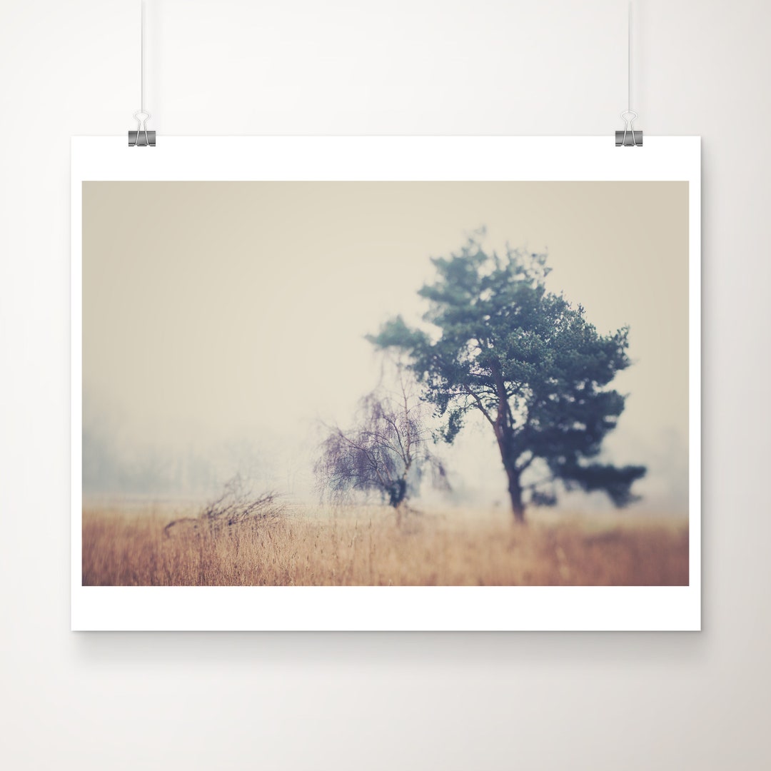 Tree Photograph, Ethereal Print, Nature Photography, Winter Tree Print ...