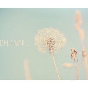 Dandelion Photograph, Make A Wish Print, Pastel Blue Nursery Wall Art ...
