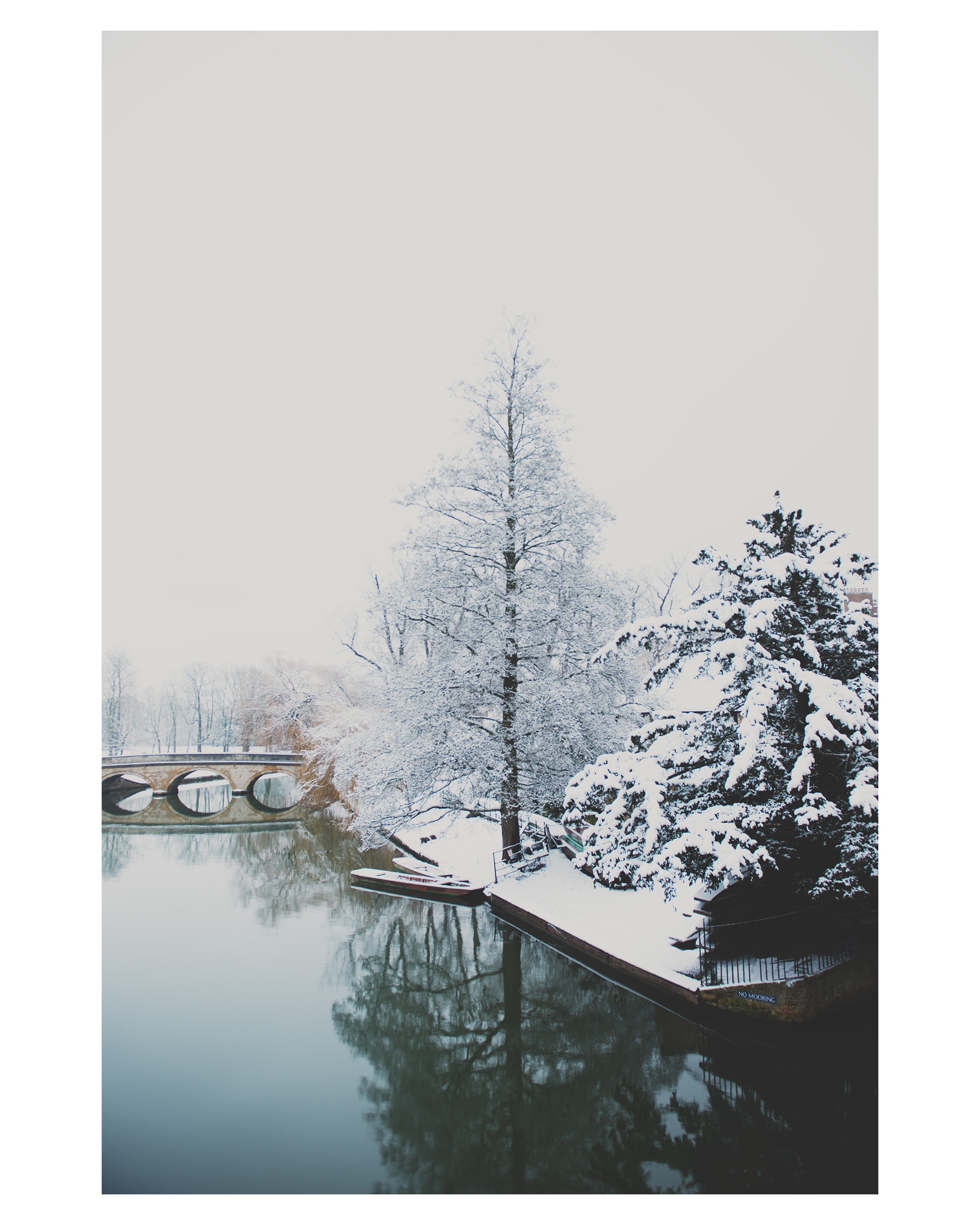 Cambridge Winter Photograph, River Cam Bridge Print, Snow Covered Tree ...