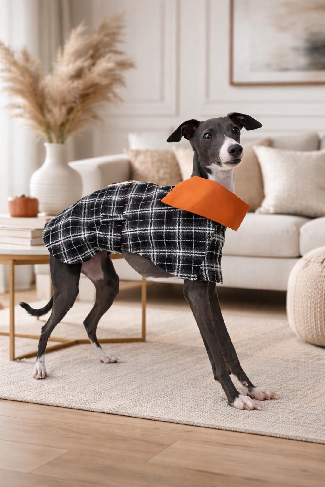 Stylish Italian Greyhound Coat | Classic Plaid Checkered Windbreaker ...