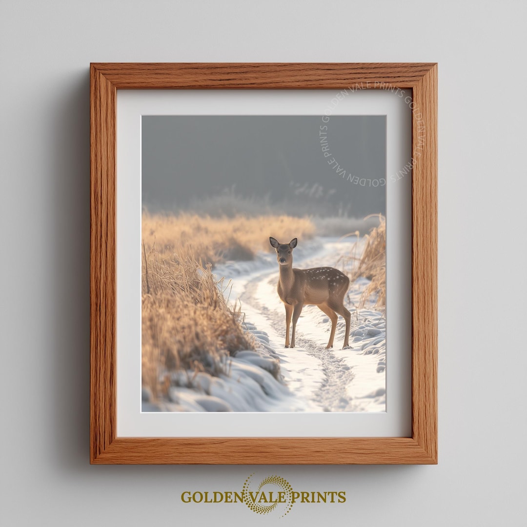 Sika Deer on Snow Path – Golden Light – Wildlife Wall Art - Etsy UK