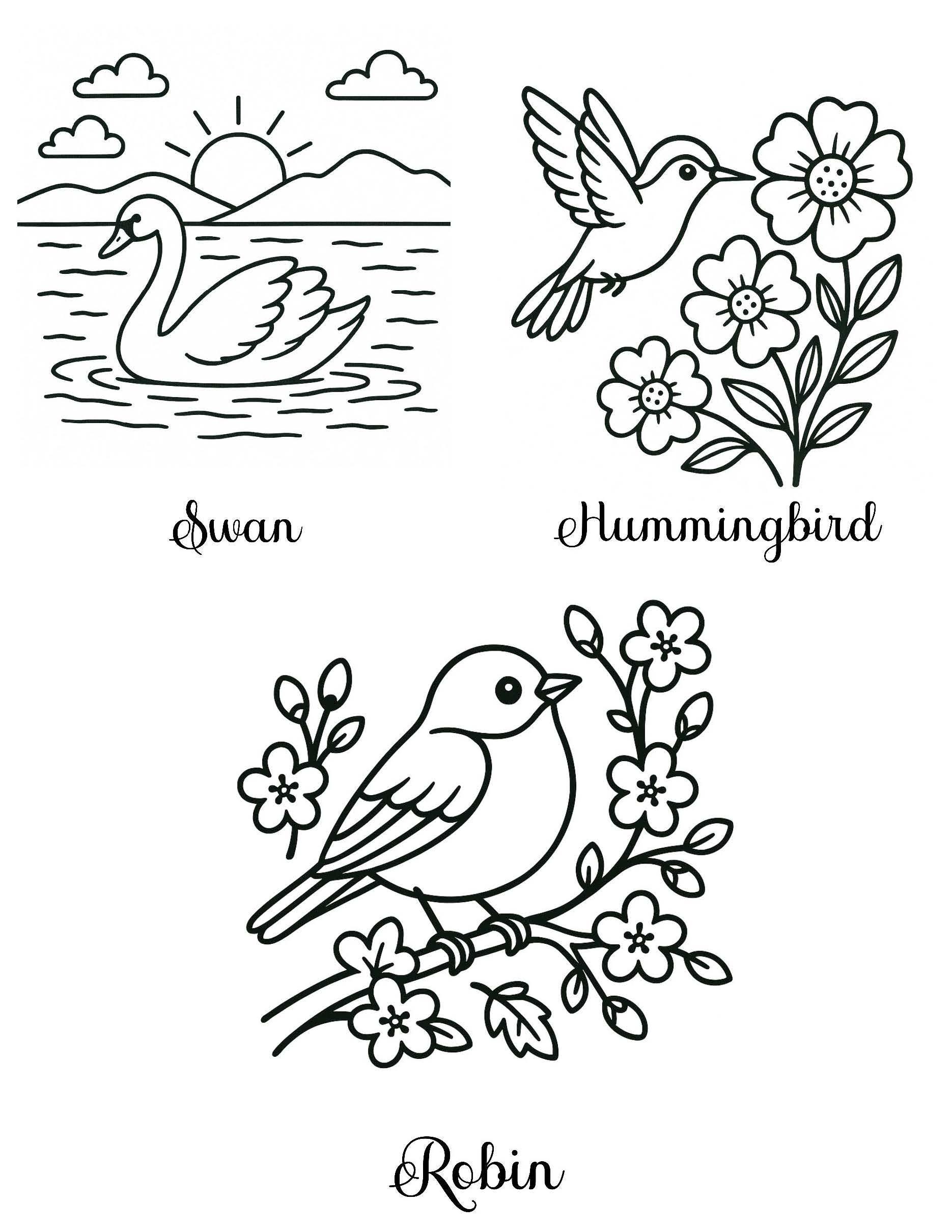 Bird Coloring Pages: Blue Jay, Cardinal, Eagle & More (printable PDF ...