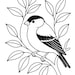 Bird Coloring Pages: Blue Jay, Cardinal, Eagle & More (printable PDF ...