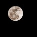 Perigee Super Moon Fine Art Print, Astronomical, Astro, Sky, Stars ...