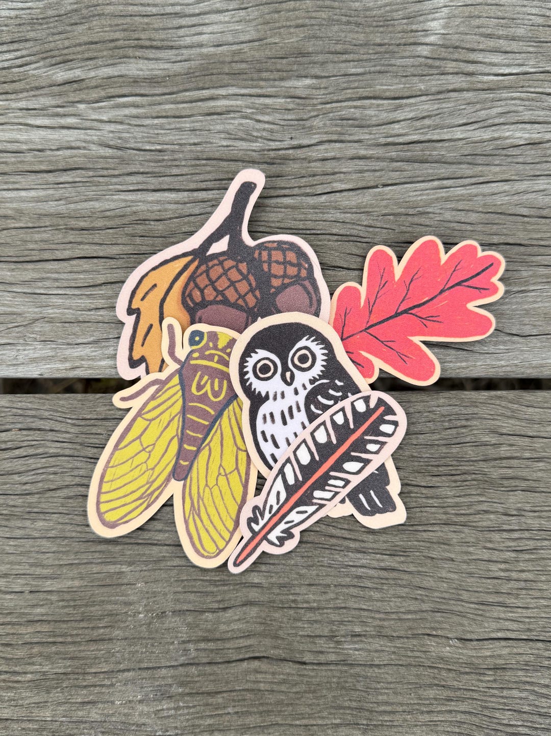 Autumn Woodland Sticker Pack: Owl, Acorn, Leaf Vinyl Decals - Etsy