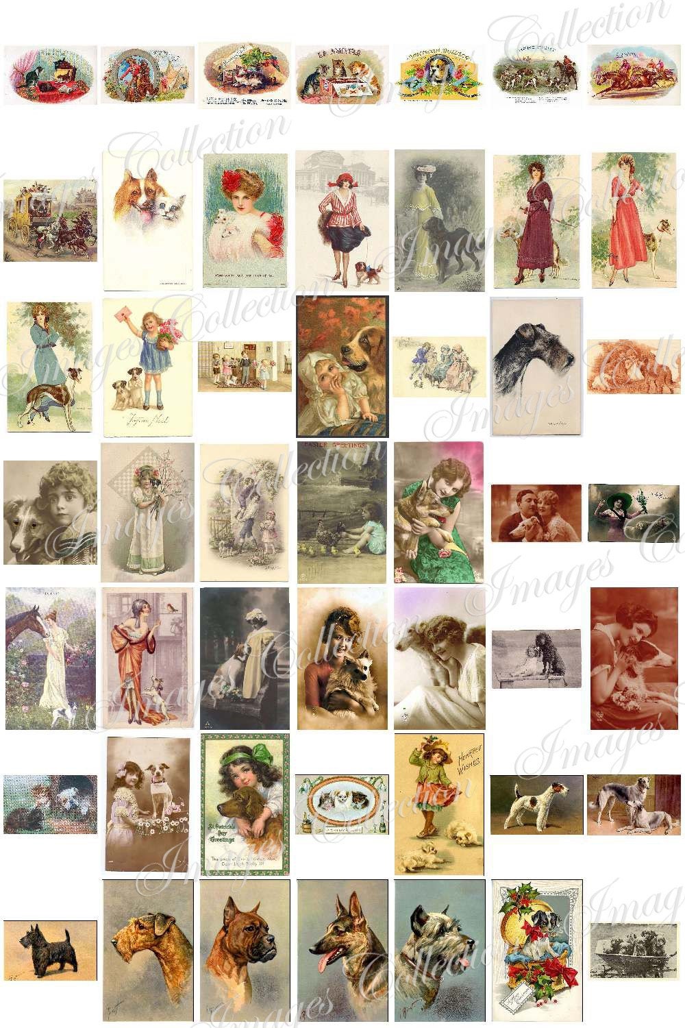 700 Vintage Animals Photos Illustrations - Part 2 / Digital Bundle ...