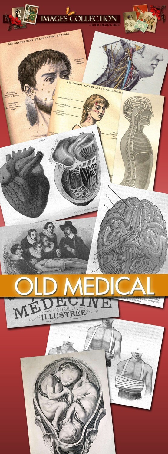 Digital Images Old Medical Illustration / Download Anatomical - Etsy