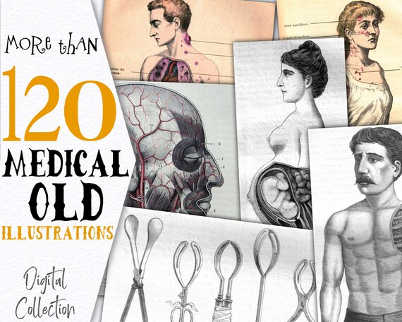 Digital Images Old Medical Illustration / Download Anatomical - Etsy