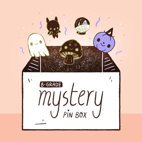 B-grade Mystery Pin Box 5 Random Enamel Pins - Etsy
