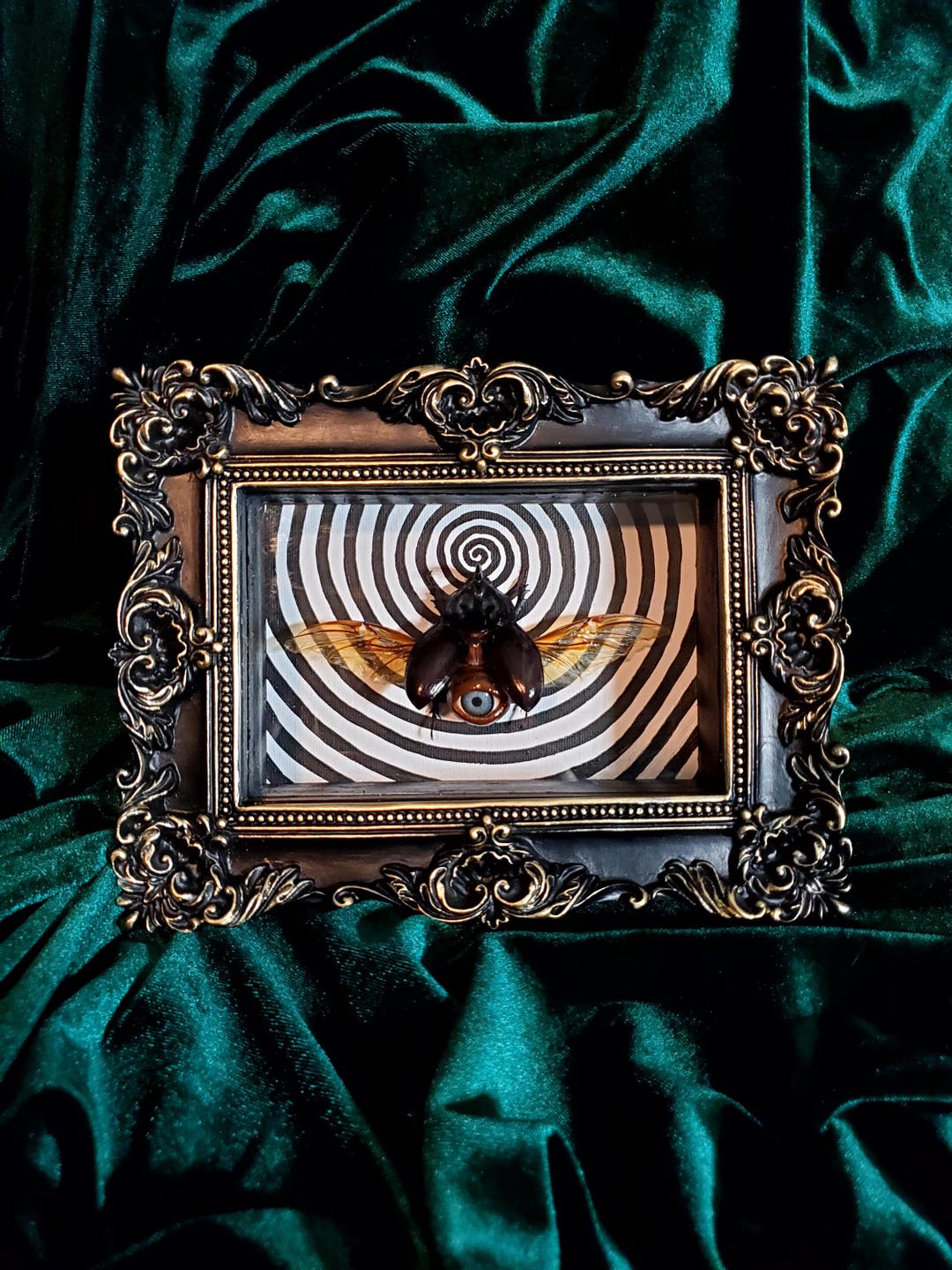 Goth Shadow Box Featuring a Real Rhinoceros Beetle With a Surreal Eye ...