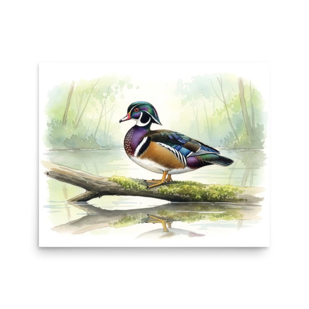 Wood Duck Watercolor Print, Duck Waterfowl Art, Museum-quality Matte ...