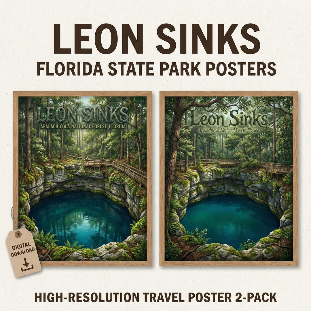 Leon Sinks Geological Area Travel Posters (2 Variations) | Apalachicola ...
