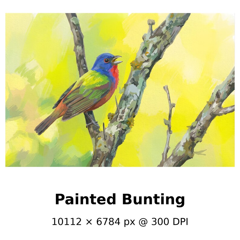 Set of (5) Vibrant Gouache-style "songbird" Bird Art Print | Digital ...