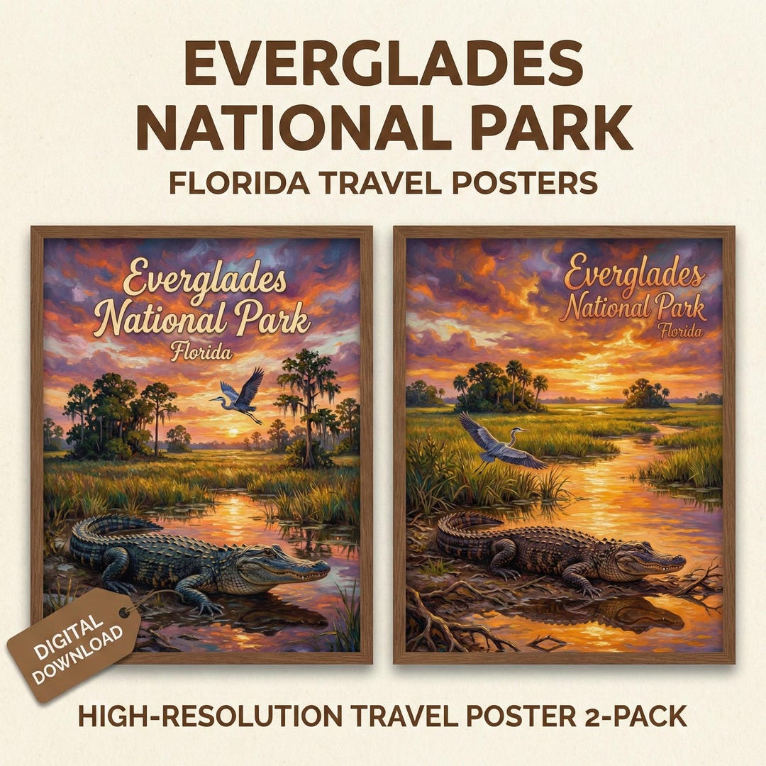 Everglades National Park Sunset Art Print | Florida Alligator, Heron ...