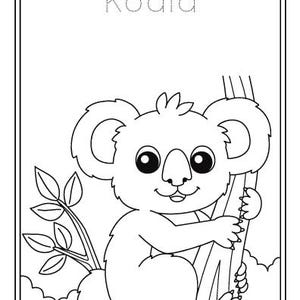 Australian Animals Coloring Book: Aussie Wildlife Art (PDF Pattern) - Etsy