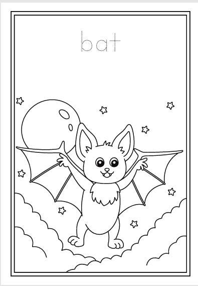 Australian Animals Coloring Book: Aussie Wildlife Art (PDF Pattern) - Etsy