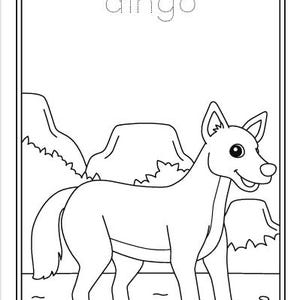 Australian Animals Coloring Book: Aussie Wildlife Art (PDF Pattern) - Etsy