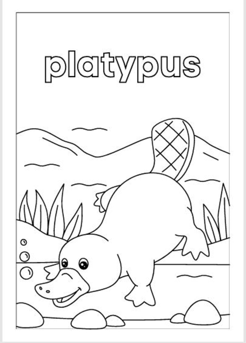 Animal Habitats Coloring Book: Educational Wildlife Activity (46 Pages ...
