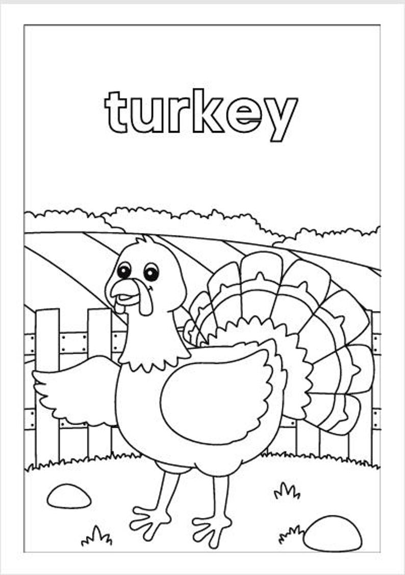 Animal Habitats Coloring Book: Educational Wildlife Activity (46 Pages ...
