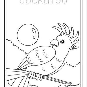 Australian Animals Coloring Book: Aussie Wildlife Art (PDF Pattern) - Etsy