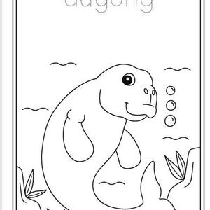 Australian Animals Coloring Book: Aussie Wildlife Art (PDF Pattern) - Etsy