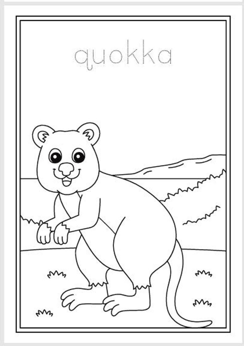 Australian Animals Coloring Book: Aussie Wildlife Art (PDF Pattern) - Etsy