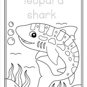 Australian Animals Coloring Book: Aussie Wildlife Art (PDF Pattern) - Etsy