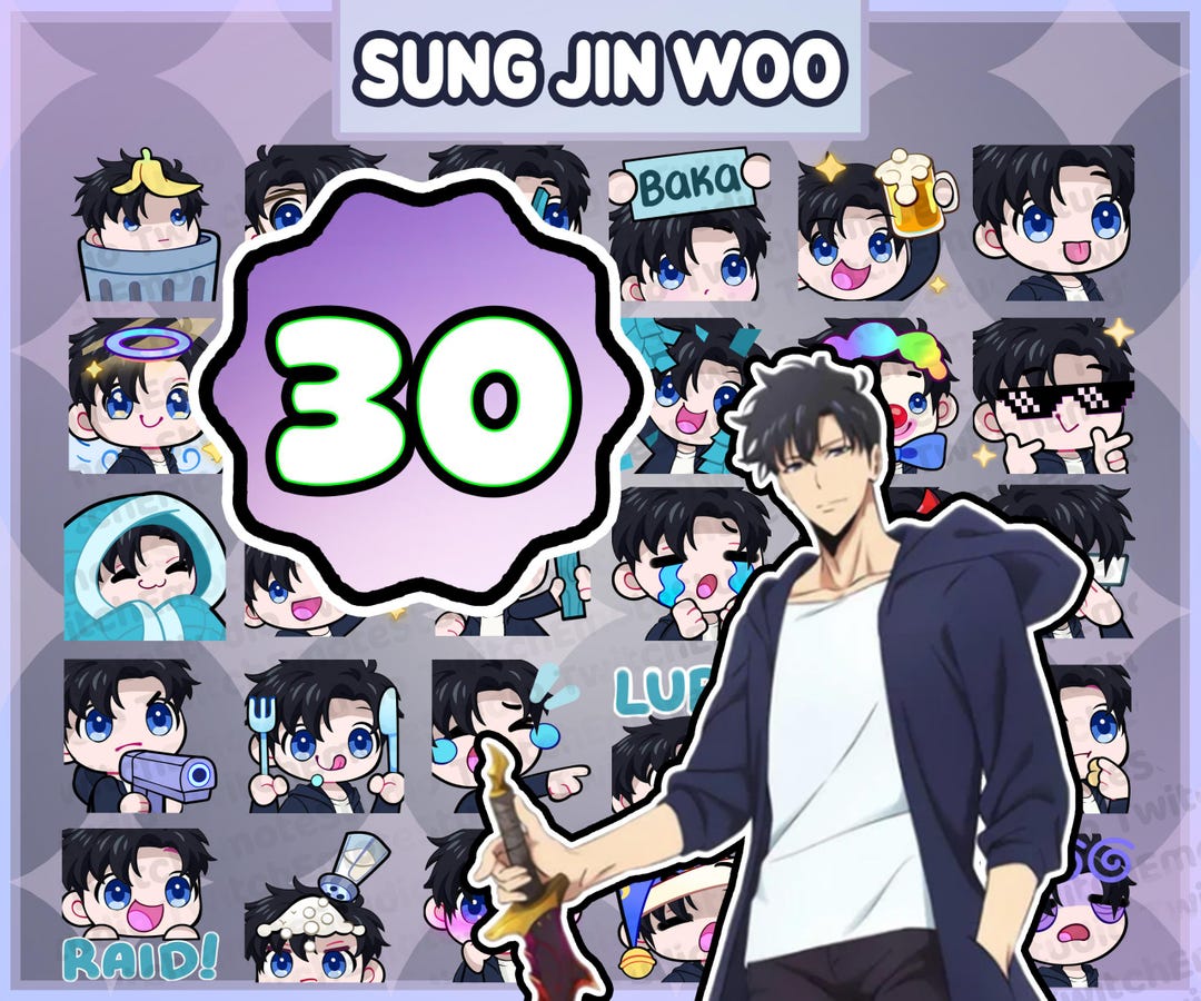 Buy SOLO LEVELING Twitch Emotes Pack/ (30 Emotes) / Sung Jin Woo ...